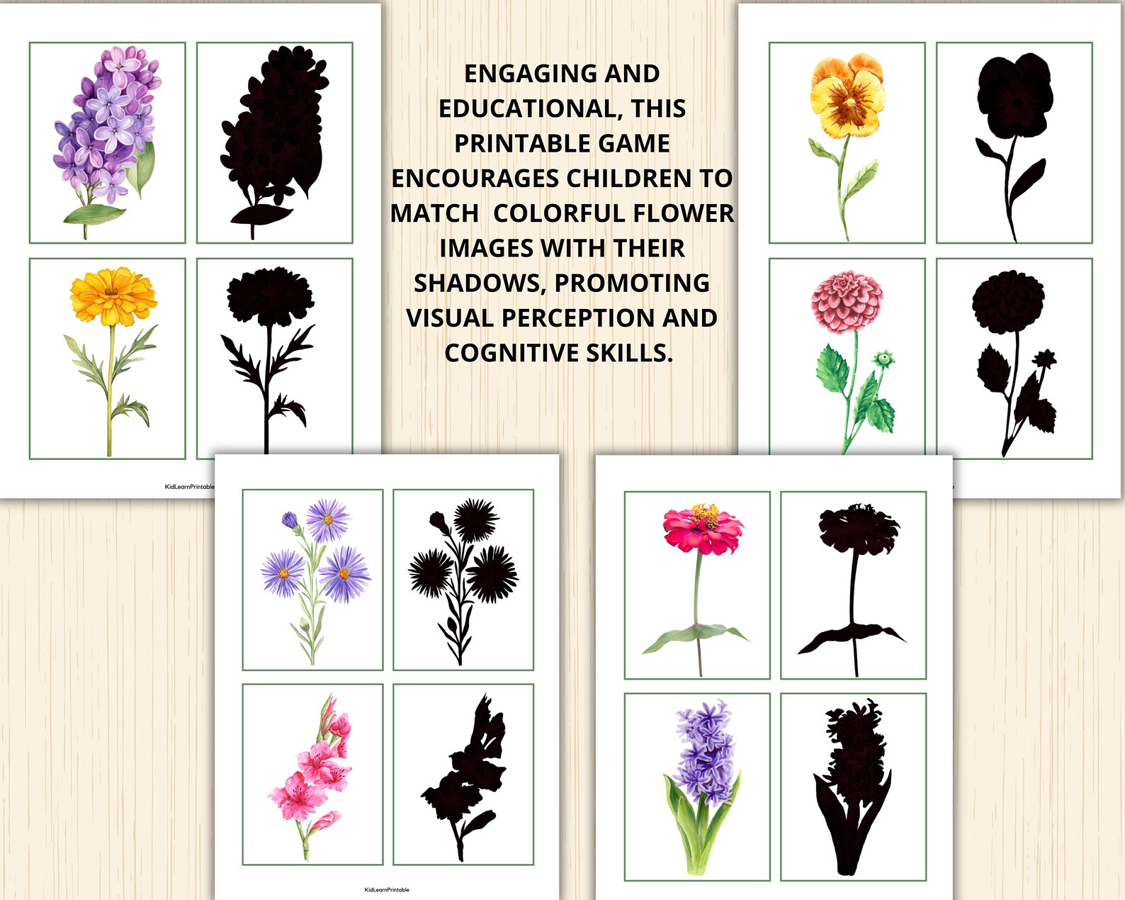 Flower Shadow Matching Card,flower Flashcards,spring Shadow,matching ...