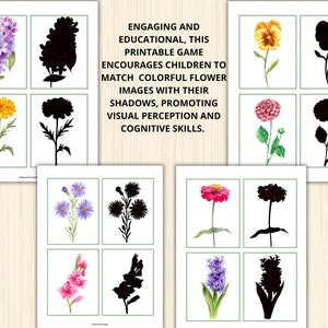 Flower Shadow Matching Card,flower Flashcards,spring Shadow,matching ...