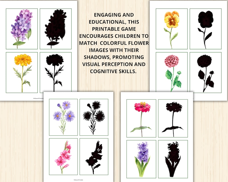 Flower Shadow Matching Card,flower Flashcards,spring Shadow,matching ...