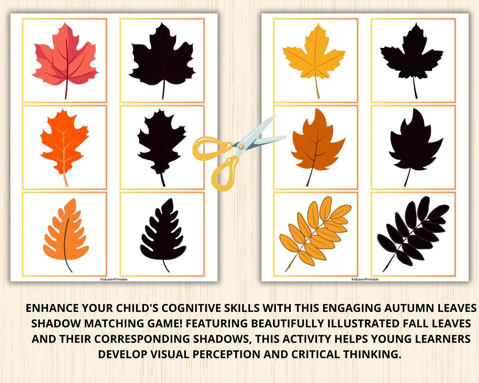 Fall Matching Activities, Autumn Leaves Shadow Matching Game,fall ...