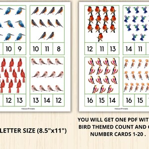 Birds Count and Clip Cards,numbers 1-20, Birds Flashcards,bird Activity ...