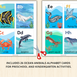 Ocean Alphabet Cards,ocean Animal Flash Cards,montessori,world Ocean ...