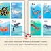 Ocean Alphabet Cards,ocean Animal Flash Cards,montessori,world Ocean ...