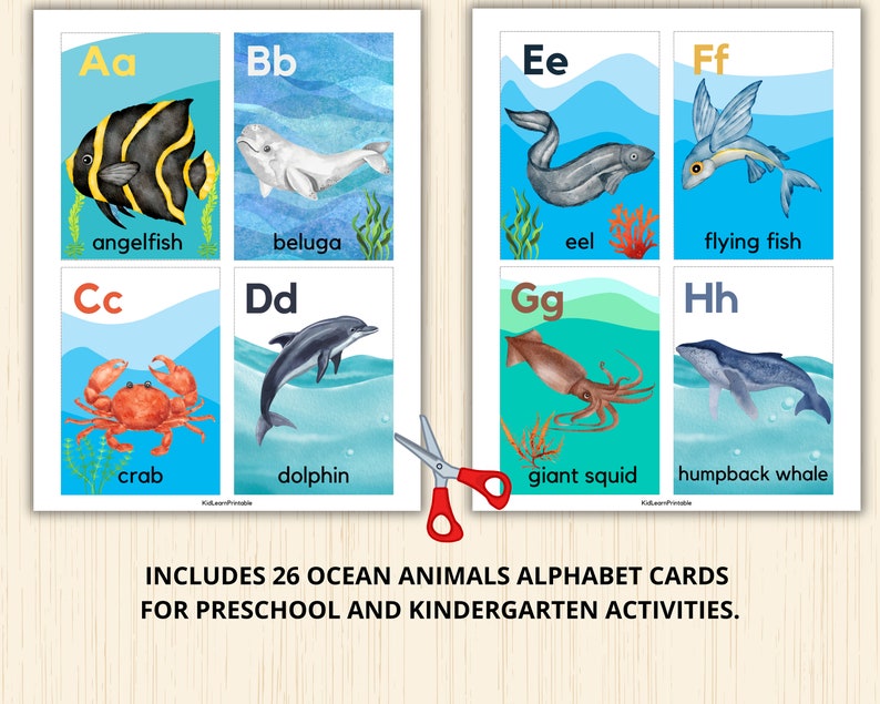 Ocean Alphabet Cards,ocean Animal Flash Cards,montessori,world Ocean ...