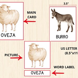 Farm Animals Montessori 3 Part Cards, Montessori Flash Cards, Farm ...