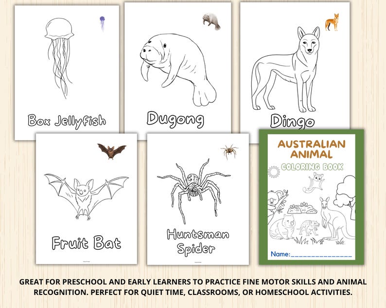 Australian Animals Coloring Pages,australian Animals Preschool,aussie ...