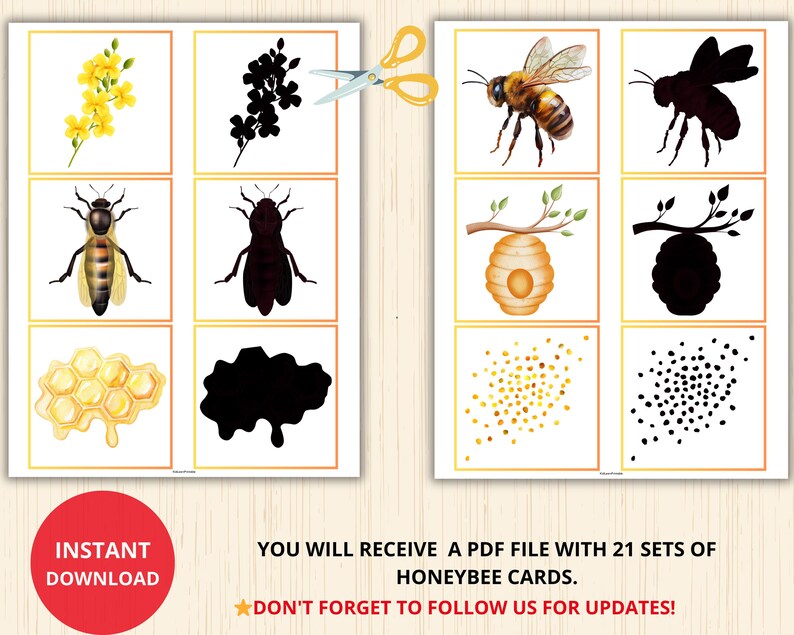 Honeybee Shadow Matching Cards,bee Flashcards,nature Flashcards,bee ...