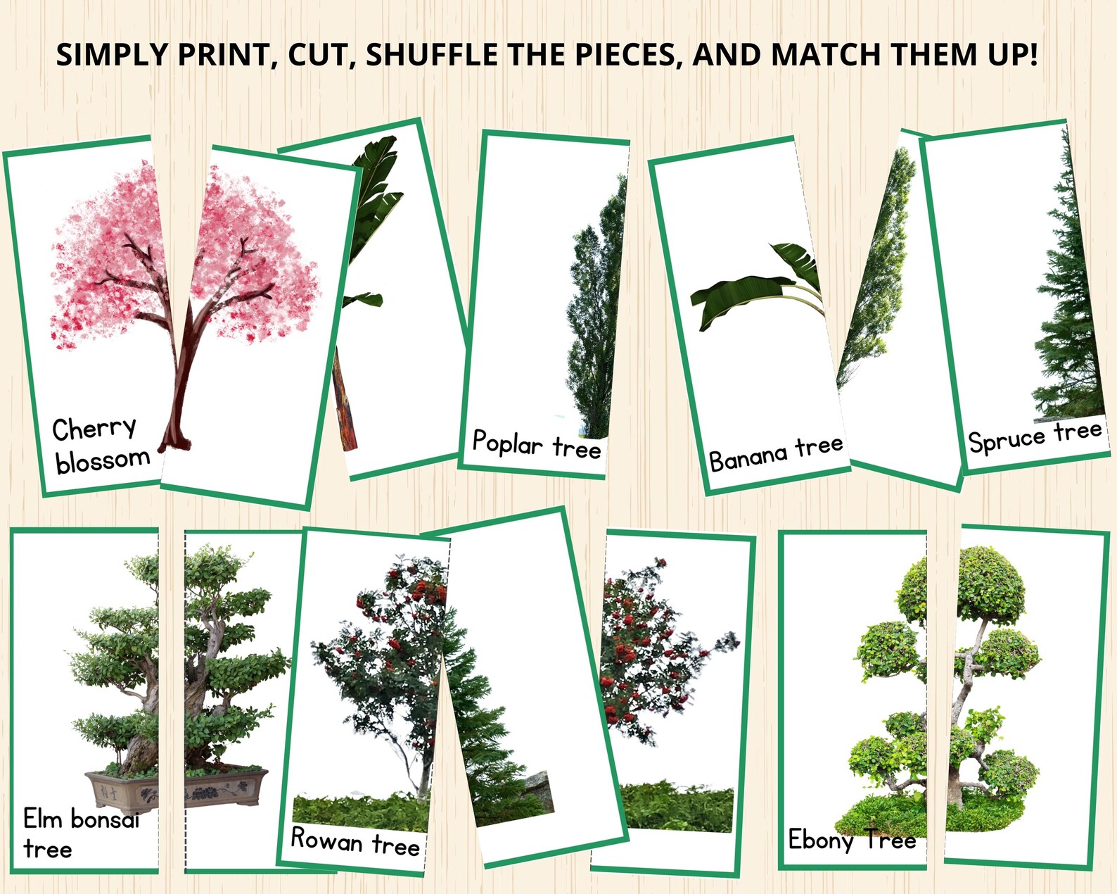 Tree Flashcards,tree Matching Cards,tree Real Pictures,tree Montessori ...