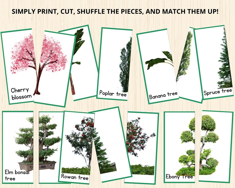 Tree Flashcards,tree Matching Cards,tree Real Pictures,tree Montessori ...