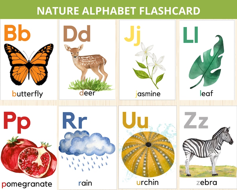 Nature Alphabet,nature Flashcard,fall Unit Study,alphabet Cards for ...