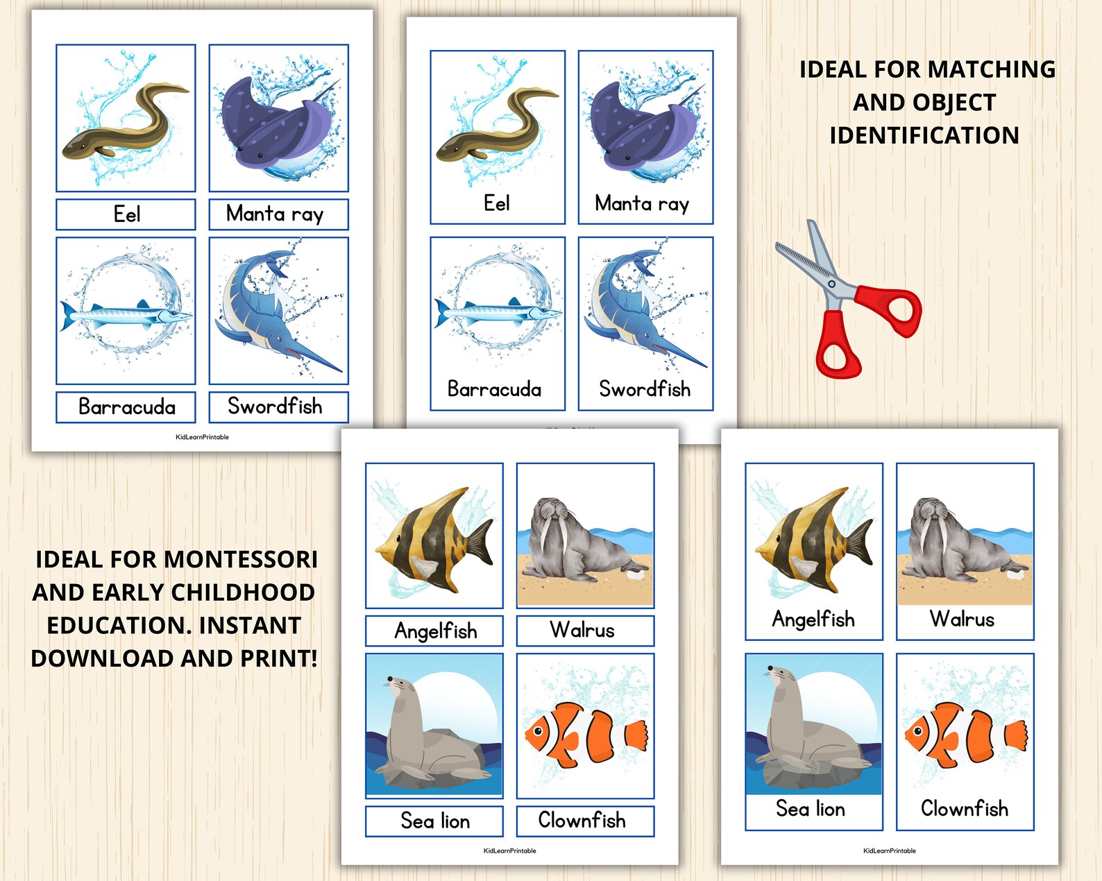 Ocean Montessori 3 Part Cards,sea Animals Vocabulary Cards,ocean Animal ...