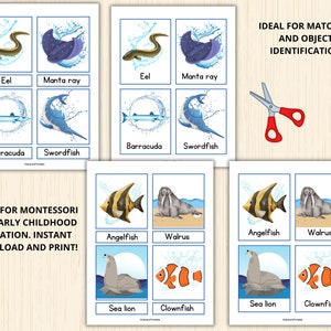 Ocean Montessori 3 Part Cards,sea Animals Vocabulary Cards,ocean Animal ...