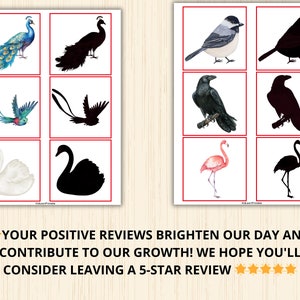 Bird Shadow Matching Cards,birds Shadow Cards,birds Match Picture,birds ...
