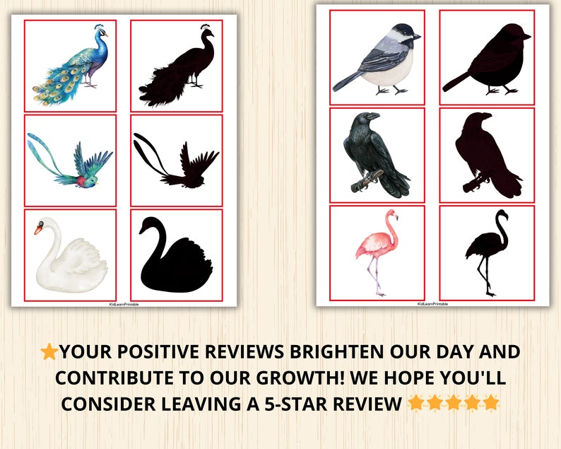 Bird Shadow Matching Cards,birds Shadow Cards,birds Match Picture,birds ...