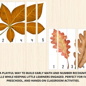 Fall Leaves Number Puzzles,autumn Preschool Math Activity,leaf Puzzle ...