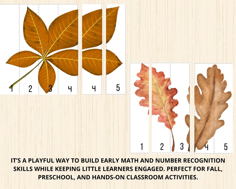 Fall Leaves Number Puzzles,autumn Preschool Math Activity,leaf Puzzle ...