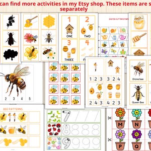Bee Flashcards,honeybee Flashcards,nature Cards,bee Unit Study,insect ...
