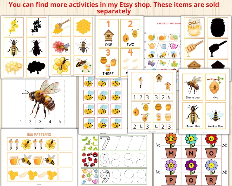 Bee Flashcards,honeybee Flashcards,nature Cards,bee Unit Study,insect ...