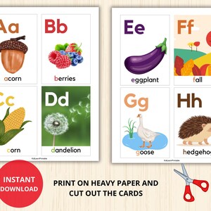 Autumn Alphabet,autumn Flashcard,fall Unit Study,alphabet Cards for ...