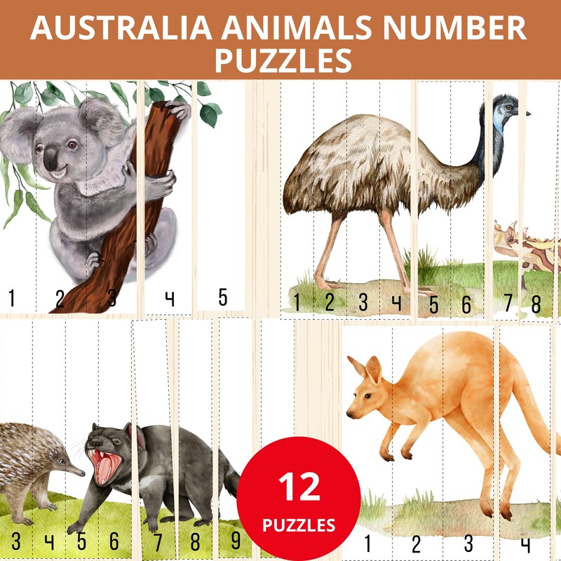 Australian Animal Number - Etsy