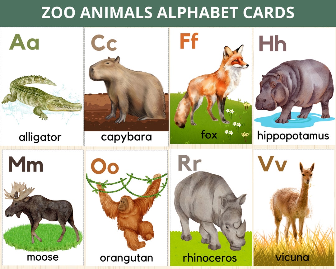 Zoo Animal Alphabet Cards,animals Flashcards,animals Montessori,safari ...