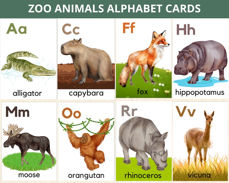 Zoo Animal Alphabet Cards,animals Flashcards,animals Montessori,safari ...