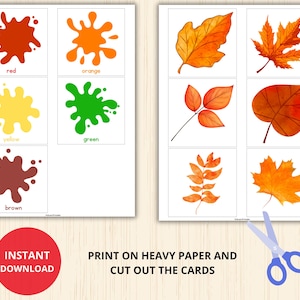 Autumn Color Sorting Activity,color Matching Game,autumn Leaves Colour ...