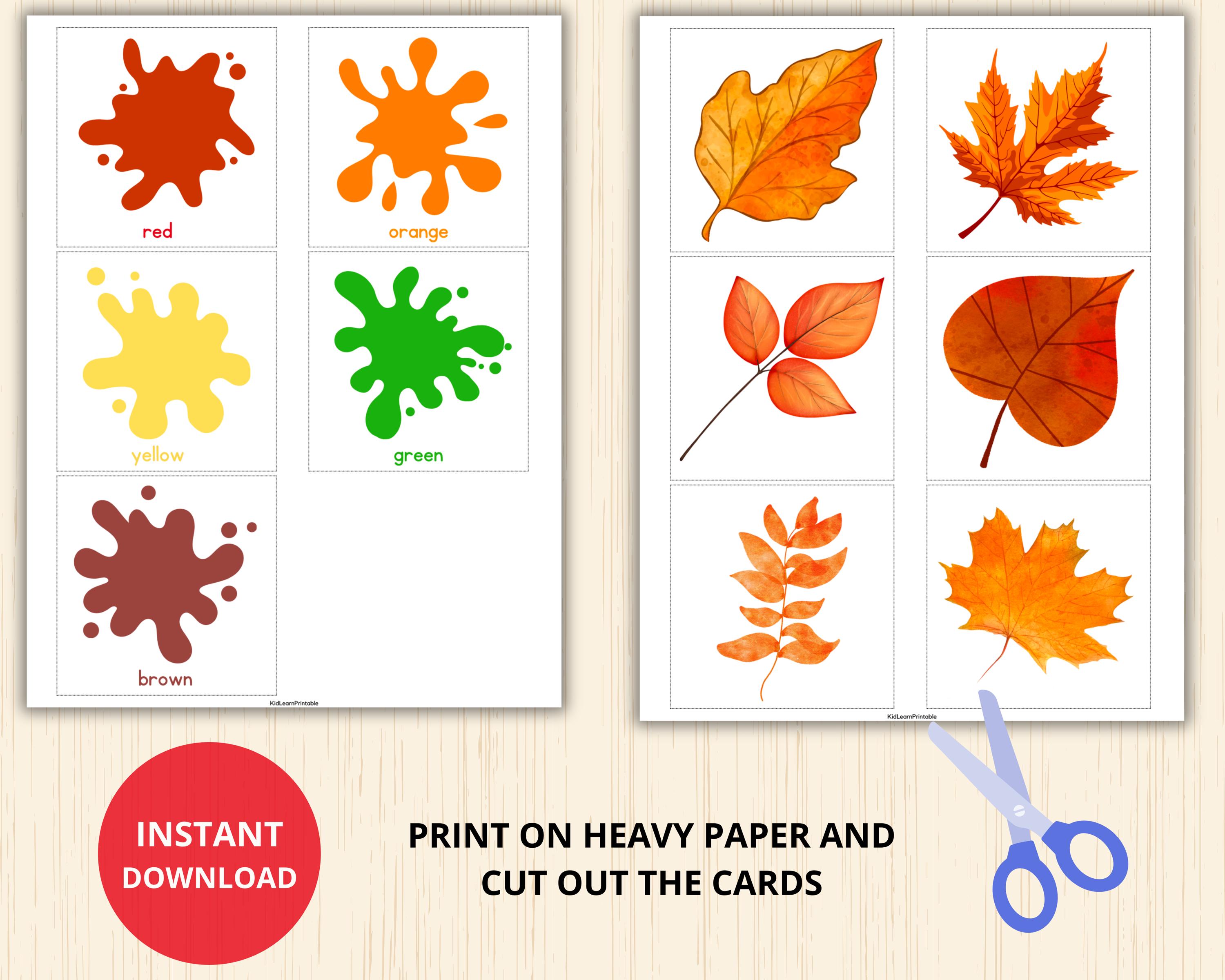 Autumn Color Sorting Activity,color Matching Game,autumn Leaves Colour ...