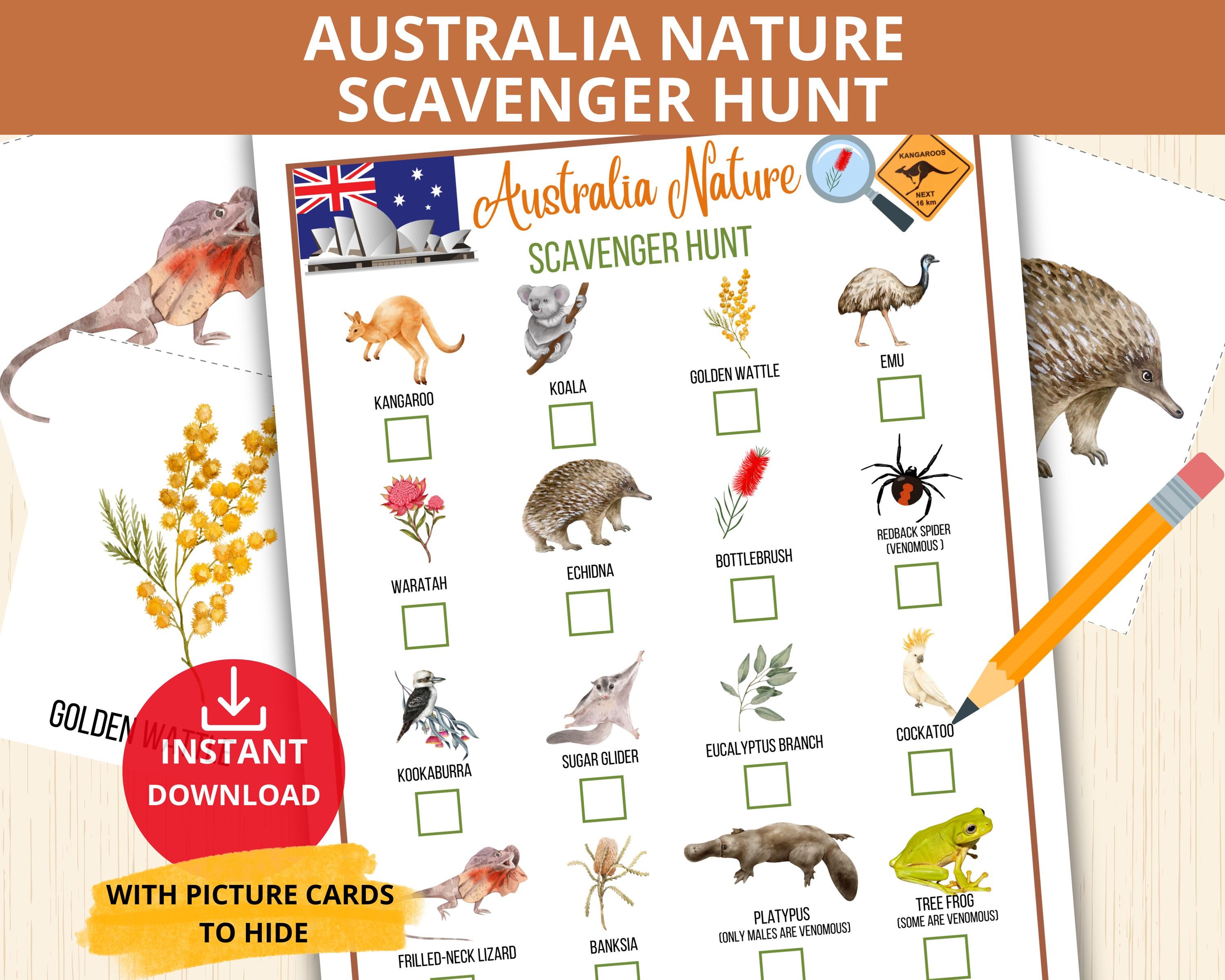 Australia Scavenger Hunt,australian Nature Hunt,australian Activity ...