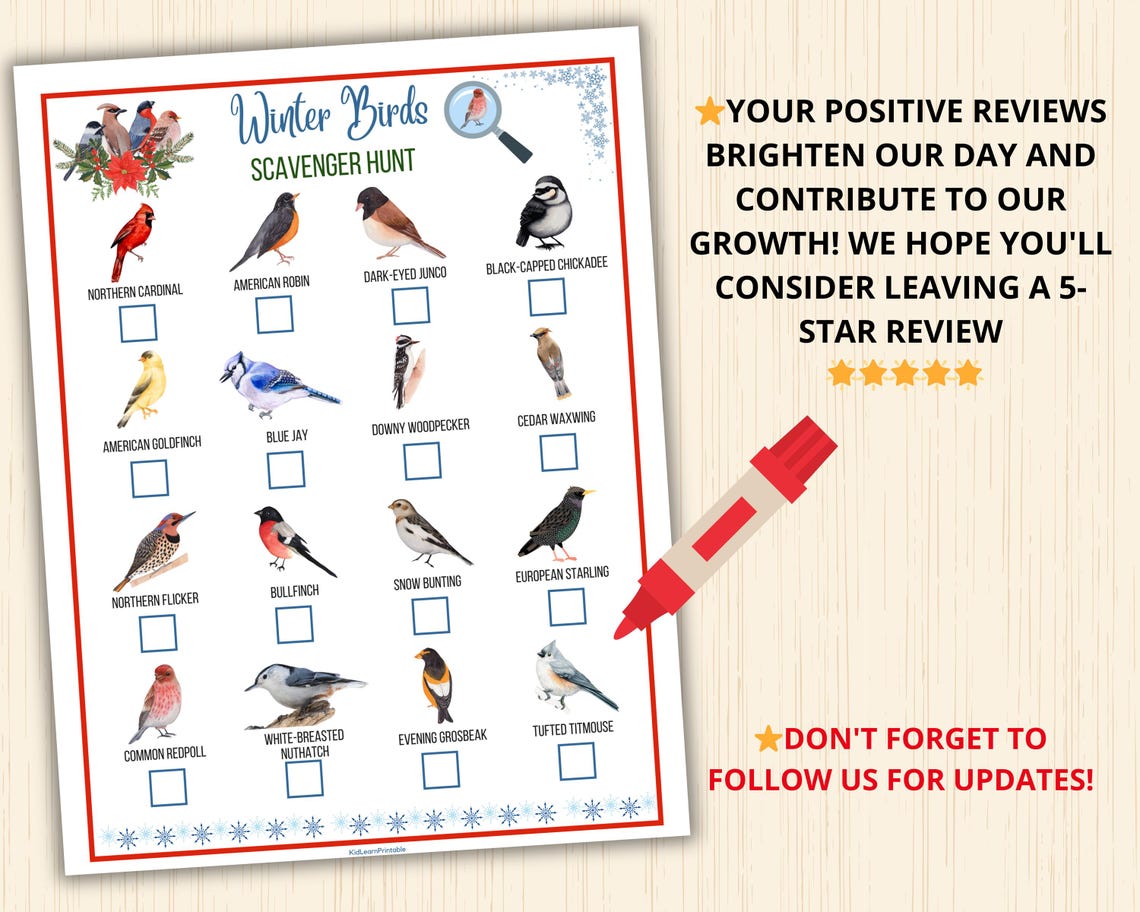 Winter Birds Scavenger Hunt,winter Birds Identification,bird Scavenger ...