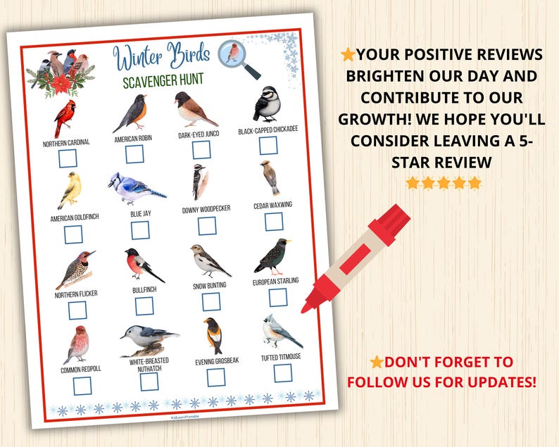 Winter Birds Scavenger Hunt,winter Birds Identification,bird Scavenger ...