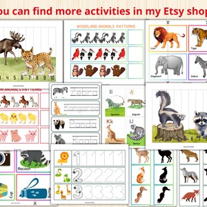Woodland Animals Shadow Matching,forest Animals Cards,preschool ...