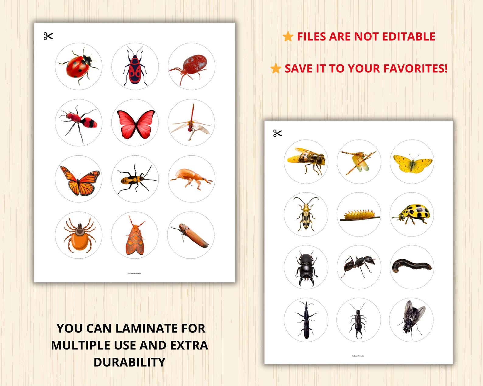 Bug Color Sorting,insect Color Matching,bug Sorting Game,insect Unit ...