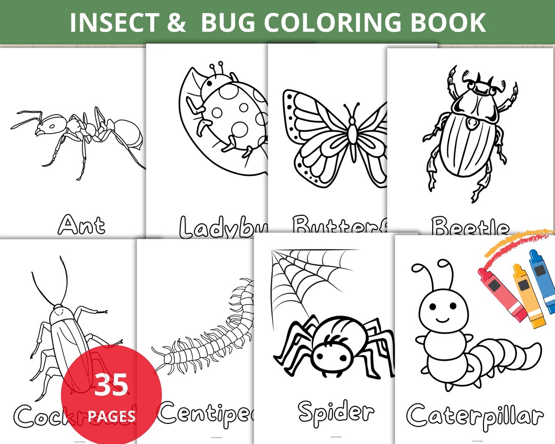 Insect Coloring Pages,bugs Coloring Sheet,insect Coloring Book,spring ...