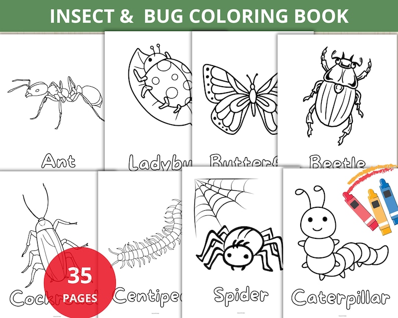 Insect Coloring Pages,bugs Coloring Sheet,insect Coloring Book,spring ...