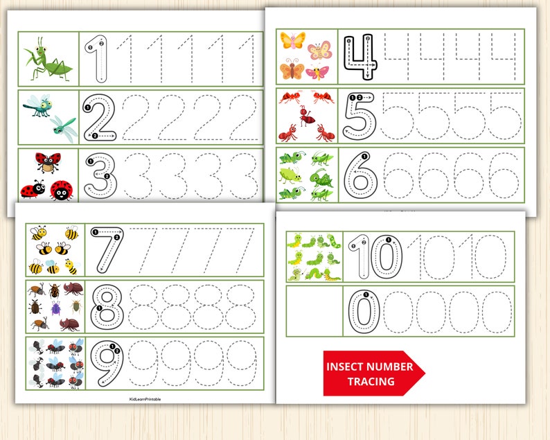 Insect Unit Study,preschool Curriculum,insect Bundle,insect Montessori ...