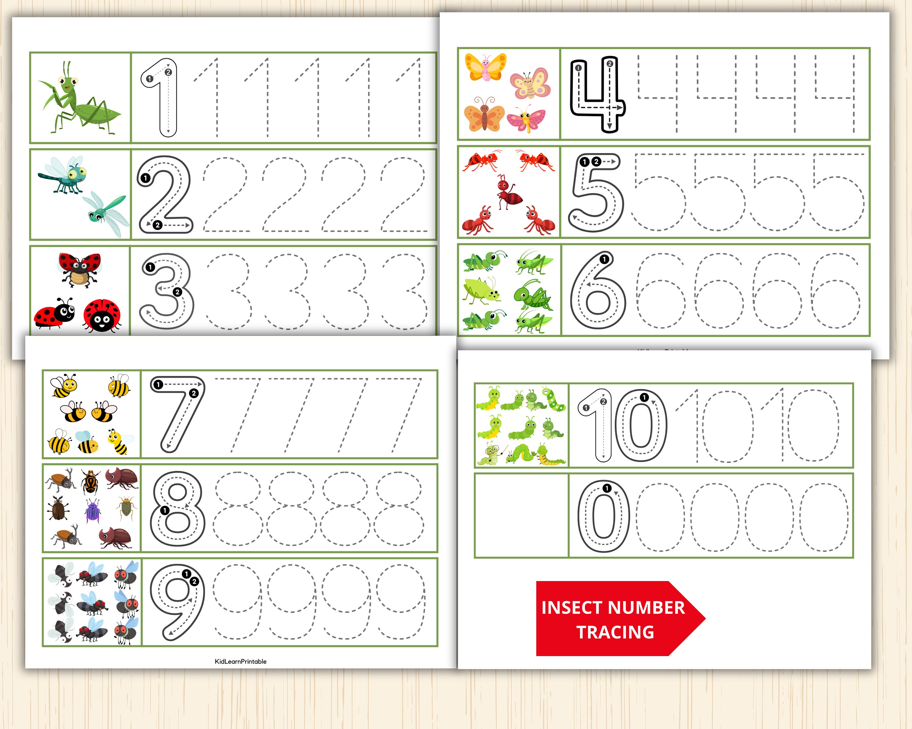 Insect Unit Study,preschool Curriculum,insect Bundle,insect Montessori ...
