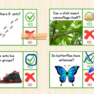 Spring Question Card,yes or No Question,spring Activities,spring Task ...