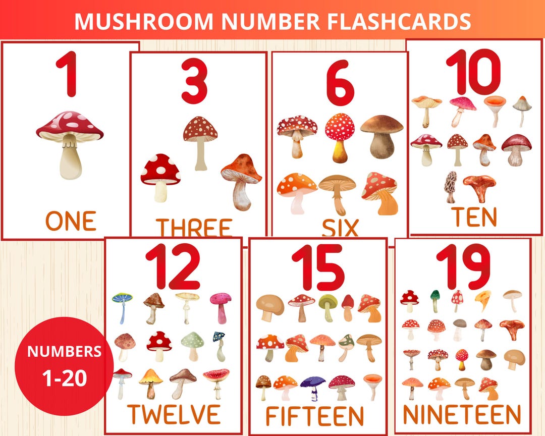 Mushroom Number Flashcards,fall Counting Flashcard,mushroom Math,autumn ...