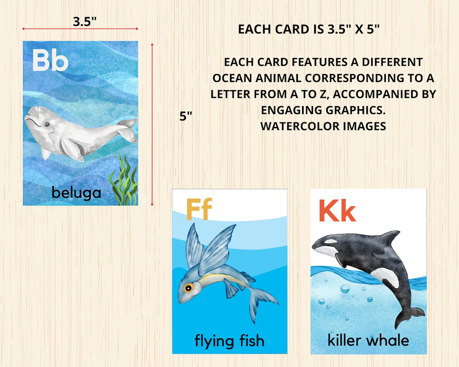 Ocean Alphabet Cards,ocean Animal Flash Cards,montessori,world Ocean ...