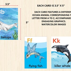Ocean Alphabet Cards,ocean Animal Flash Cards,montessori,world Ocean ...