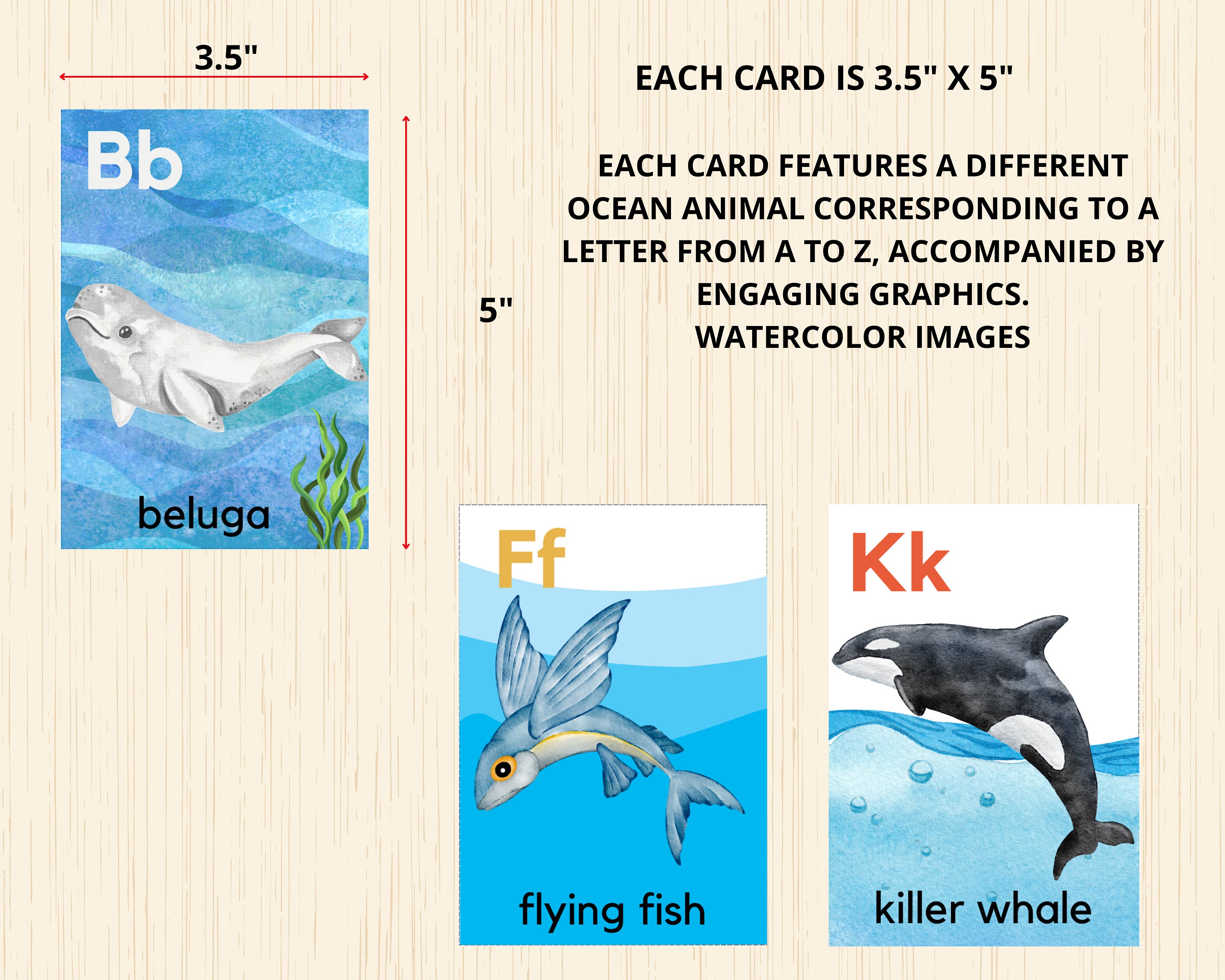 Ocean Alphabet Cards,ocean Animal Flash Cards,montessori,world Ocean ...
