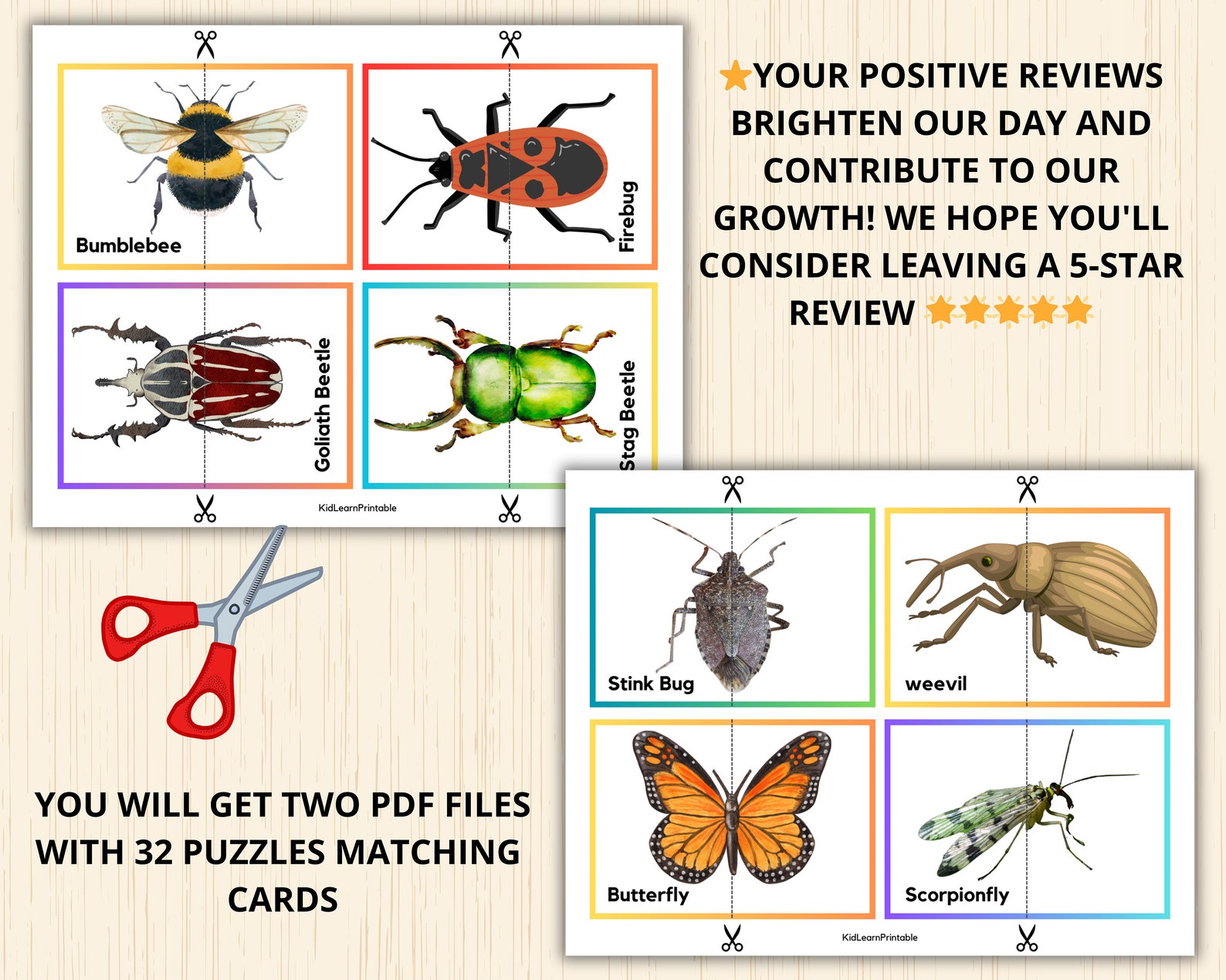 Insect Matching Activity, Insect Puzzles, Insect Symmetry, Bug Matching ...