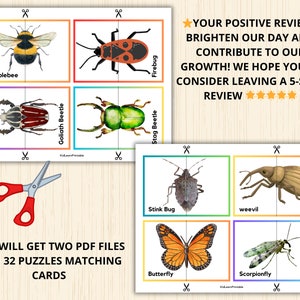 Insect Matching Activity, Insect Puzzles, Insect Symmetry, Bug Matching ...