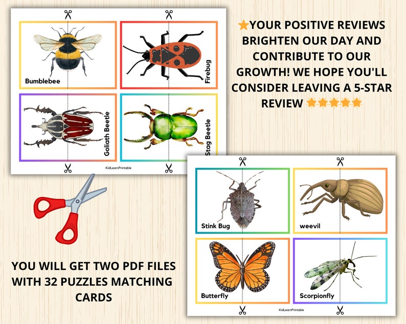 Insect Matching Activity, Insect Puzzles, Insect Symmetry, Bug Matching ...