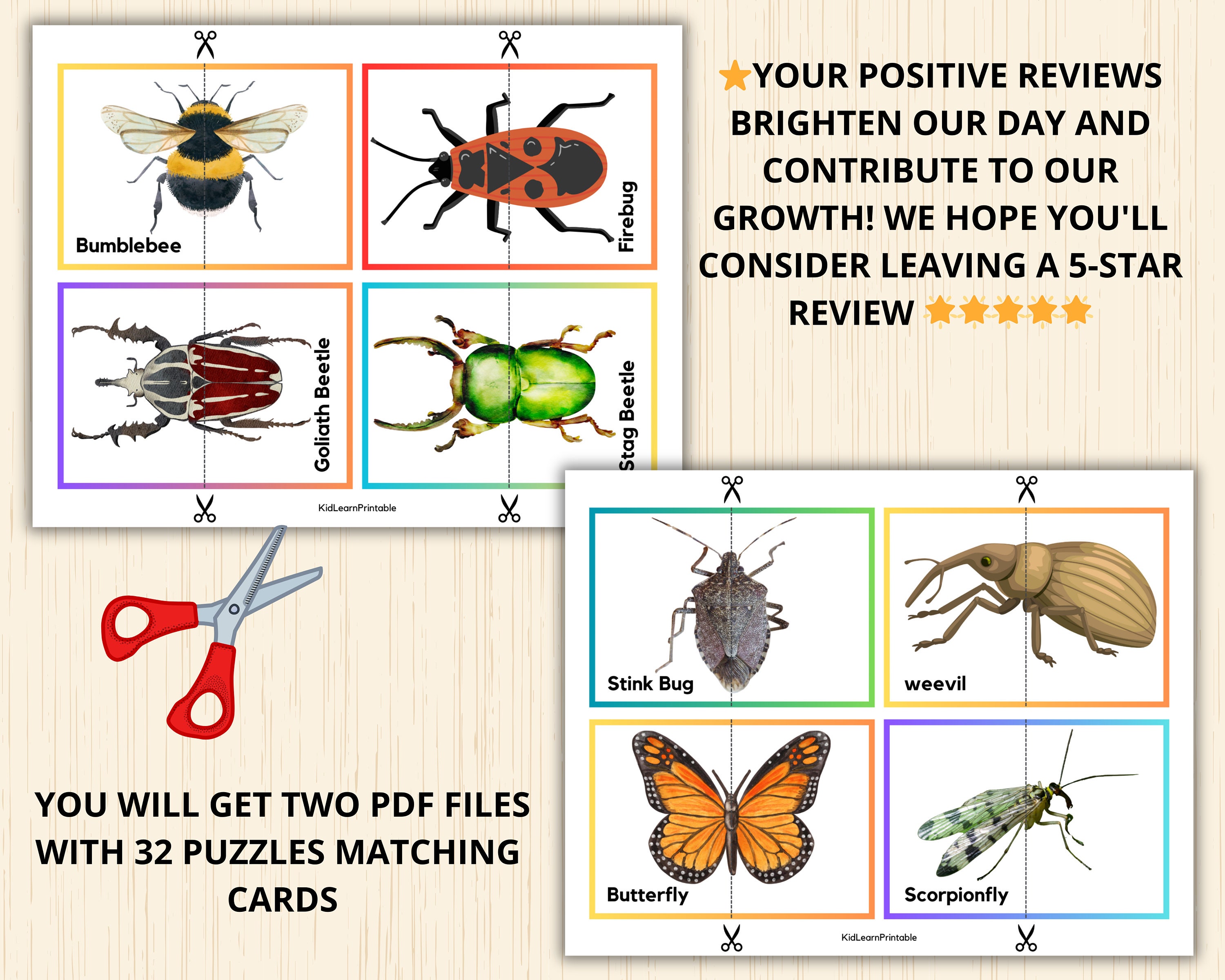 Insect Matching Activity, Insect Puzzles, Insect Symmetry, Bug Matching ...