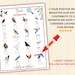 Birds Scavenger Hunt,nature Scavenger Hunt,nature Activity,bird ...
