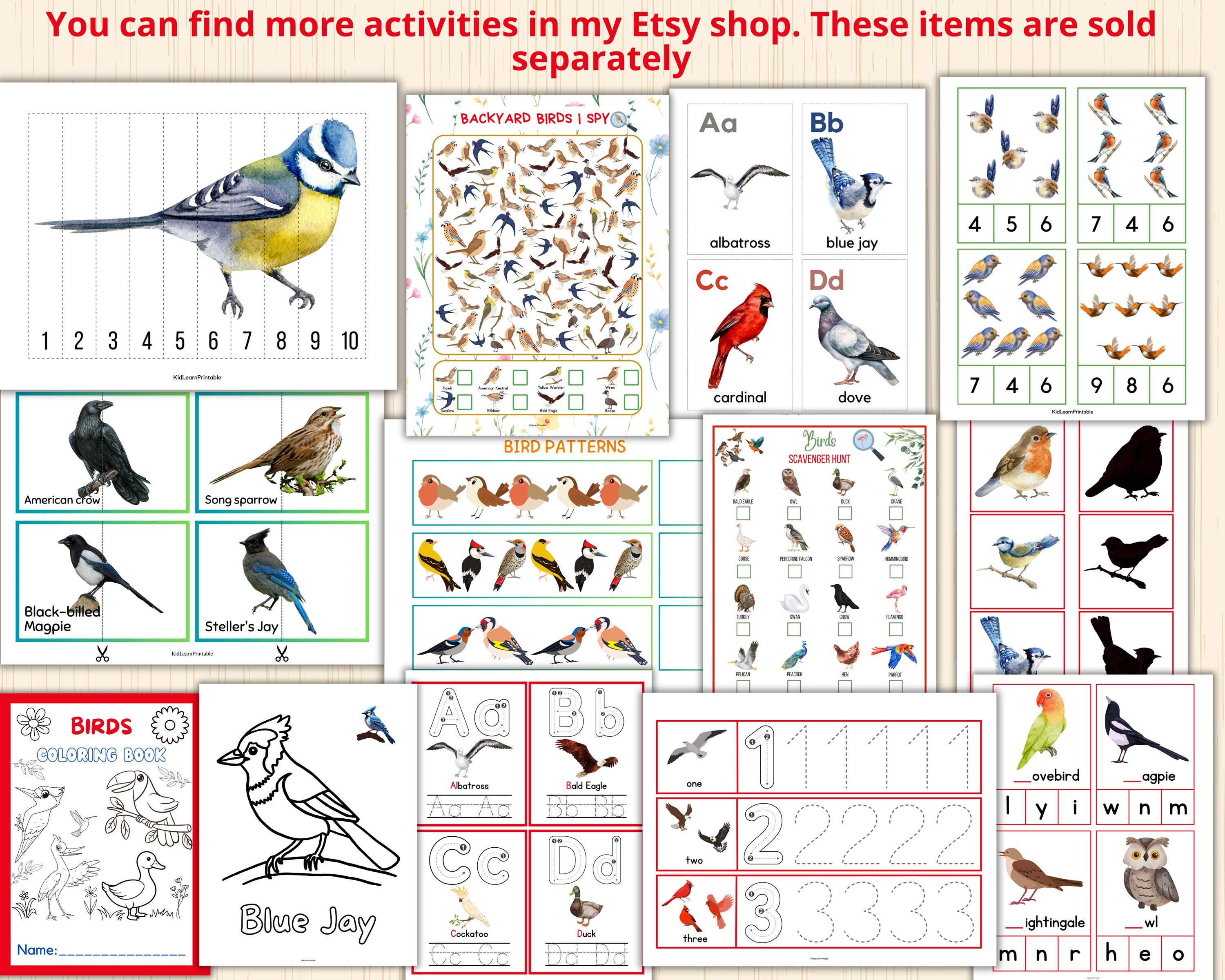 Bird Coloring Pages,bird Coloring Sheets,bird Preschool Activity,bird ...