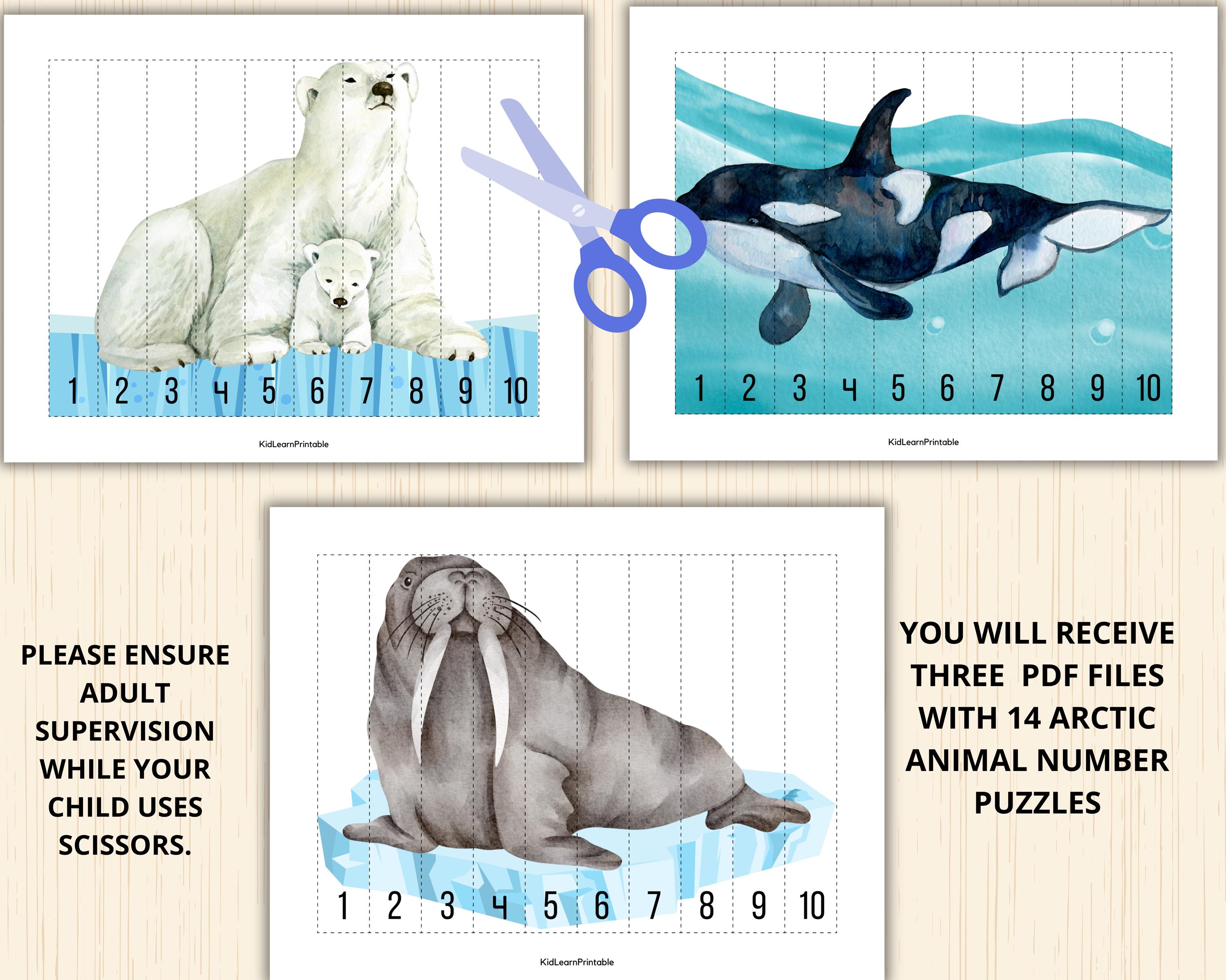 Arctic Animals Puzzle,arctic Animal Halves Matching,winter Puzzle ...