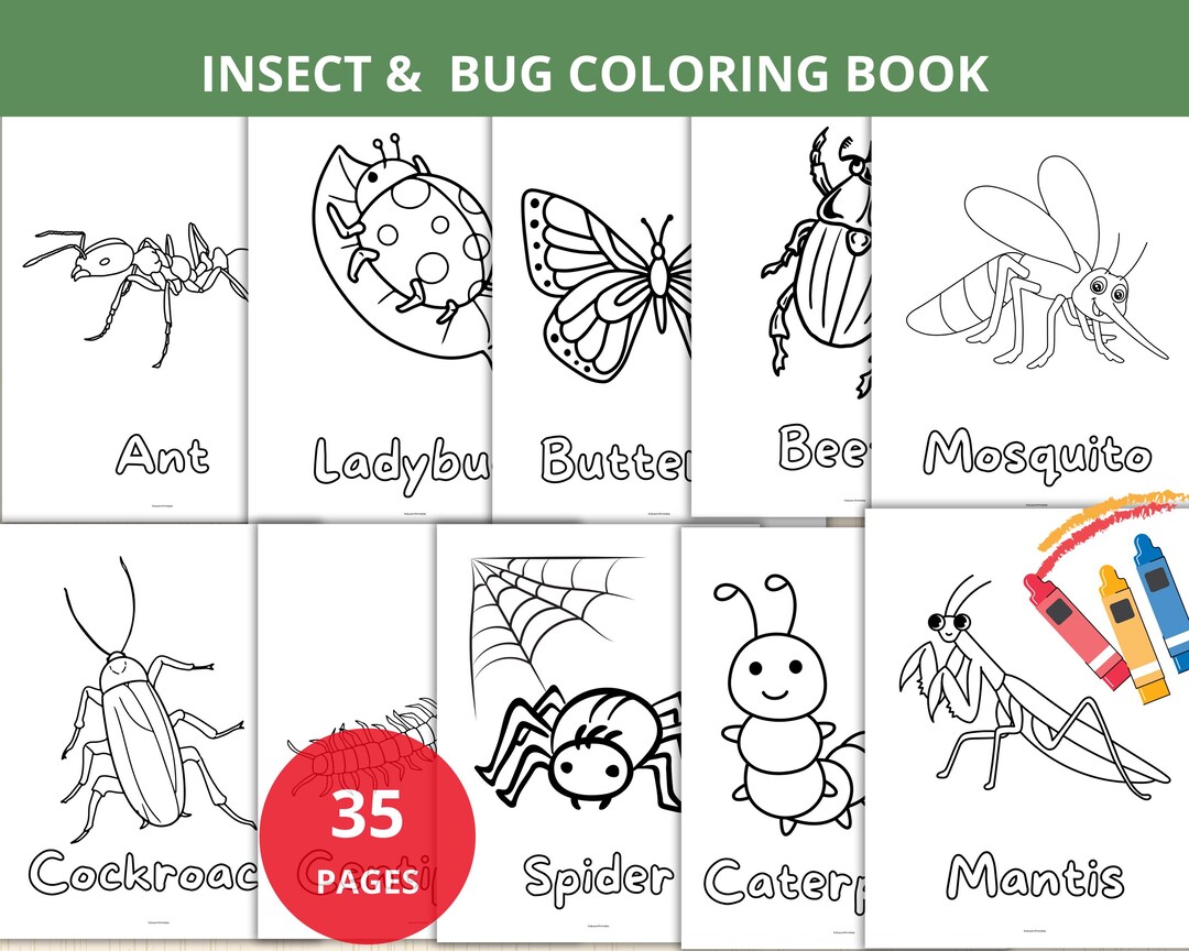 Insect Coloring Pages,bugs Coloring Sheet,insect Coloring Book,spring ...